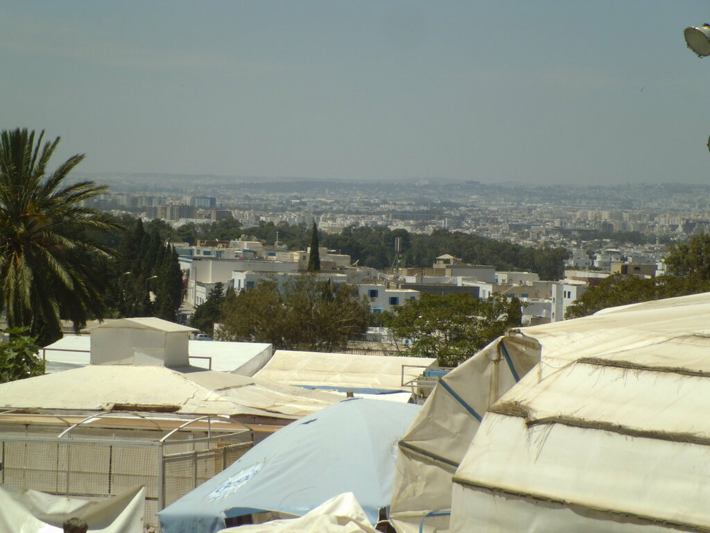 Kafe Cafe Des Delices-Sidi Bou Said, Dünya, foto