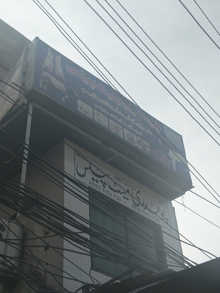 Kasap, şarküteri Choudry Mutton Shop, Rawalpindi, foto