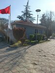 Başak Mahalle Muhtarlığı (Ankara, Mamak, Başak Mah., 1659 Sok., 8 A), muhtarlıklar  Ankara'dan