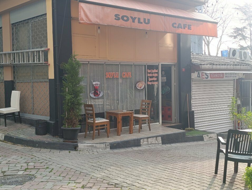 Oyun salonları Soylu Kıraathanesi, İstanbul, foto