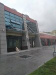 Buz Yüzme Kulübü (İstanbul, Maltepe, Altayçeşme Mah., Batı Sok., 9), spor kulüpleri  İstanbul'dan