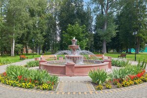 Fountain (Tver Region, Kashinskiy munitsipalny okrug, derevnya Tetkovo), çeşme  Tverskaya oblastından