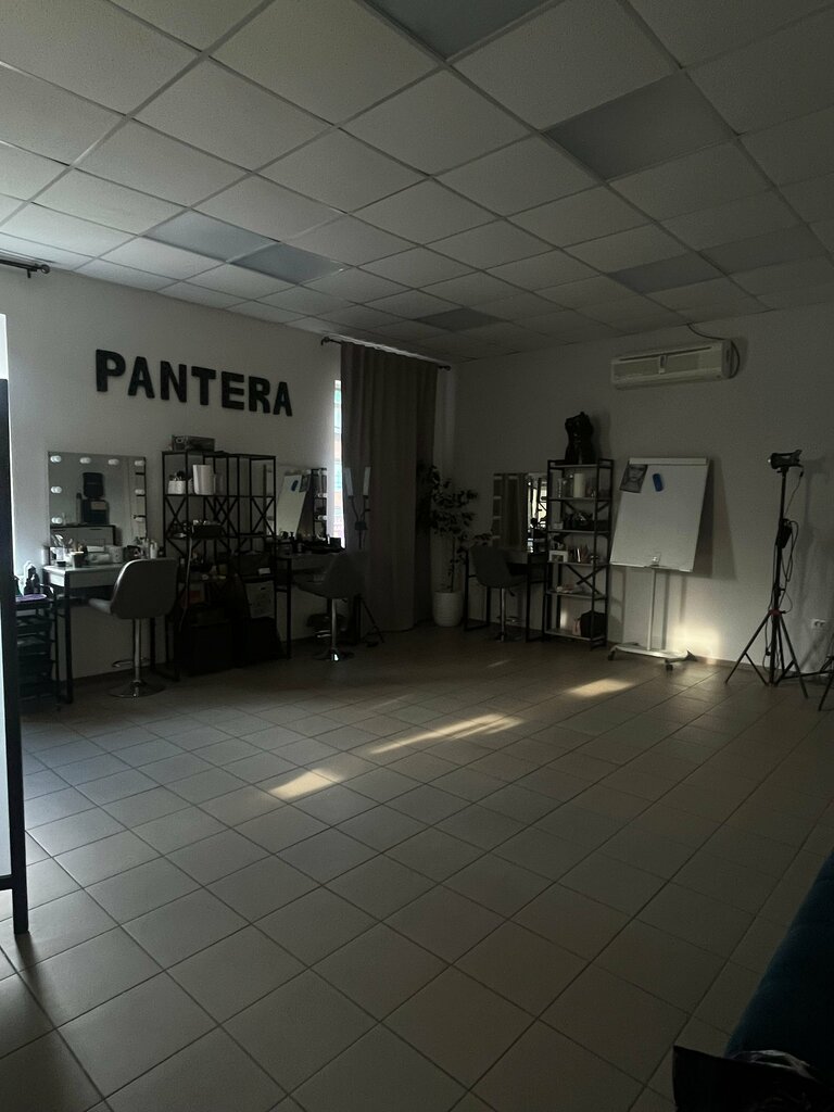 Güzellik coworking Pantera, Kamyşin, foto