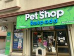 Petshop Raspada (İstanbul, Bayrampaşa, Tutin Sok., 25C), petshop  İstanbul'dan