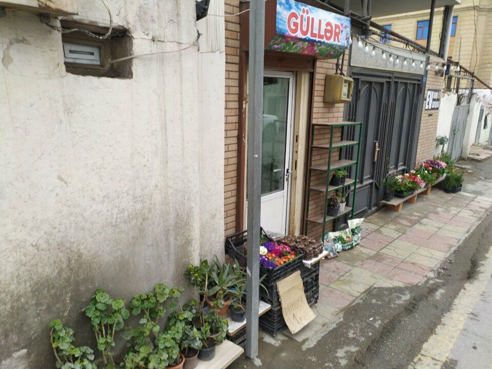 Çiçekçiler Güllər, Bakü, foto