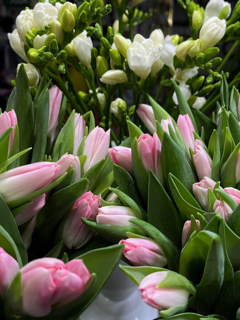 Çiçekçiler BarFlowers, Saint‑Petersburg ve Leningradskaya oblastı, foto