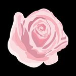 Hab Flowers (ulitsa Ferina No:19), çiçekçiler  Ufa'dan