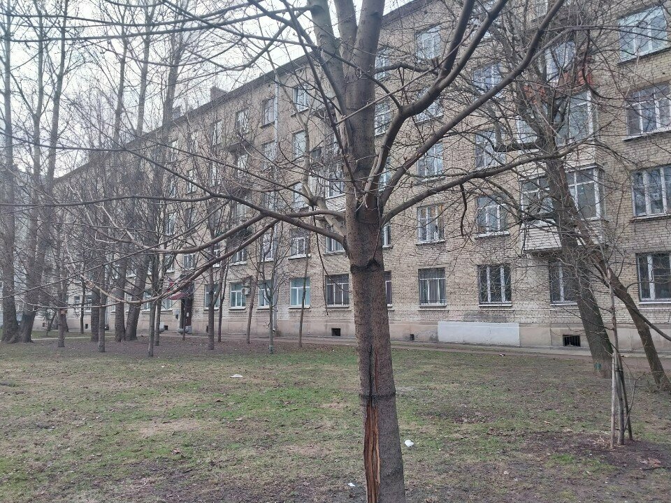 Gönüllü kuruluşlar Ленинградский доброволец, Saint‑Petersburg, foto