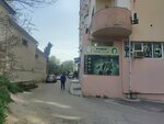 Fred (Mеhеmmеd Hadi Street No:48В), spor ve jimnastik salonları  Bakü'den
