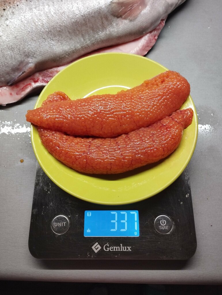 Evcil hayvan yetiştiricileri Рыбопитомник, Samarskaya oblastı, foto