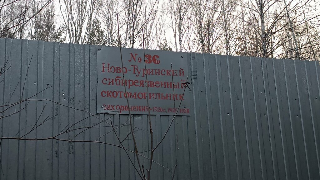 Geri dönüşüm merkezleri Сибироязвенный скотомогильник, Tataristan, foto