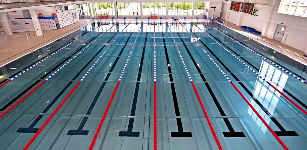 Yüzme okulu Swimming Moscow, Moskova, foto