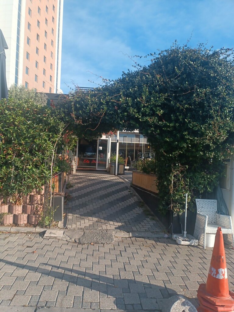 Restoran Paçacı Hikmet Plus, İstanbul, foto