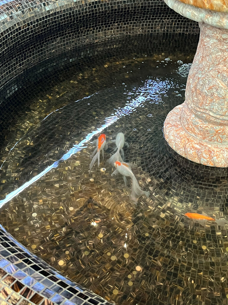 Kafe 20’s Coffee, Minskaya oblastı, foto