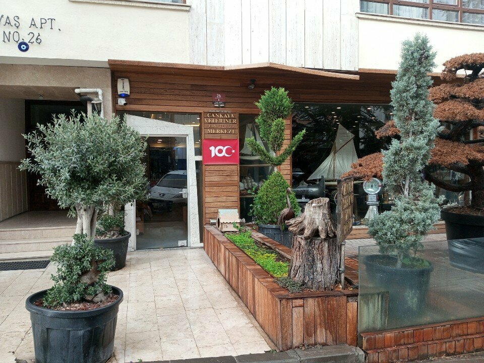 Veteriner klinikleri Çankaya Evcil Hayvan Kliniği, Ankara, foto