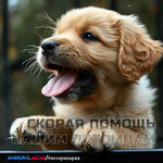 Ветеринарный кабинет (No:2А, 3-y mikrorayon), veteriner klinikleri  Uvarovo'dan