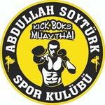 Abdullah Soyturk Spor Salonu (Ankara, Polatlı, Fatih Mah., Bakır Sok., 28), spor kulüpleri  Polatlı'dan