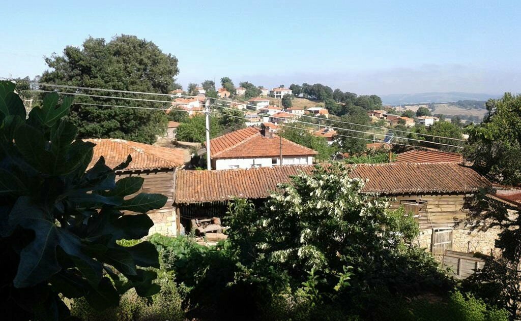 Muhtarlıklar Yaykın Köy Muhtarlığı, Çan, foto