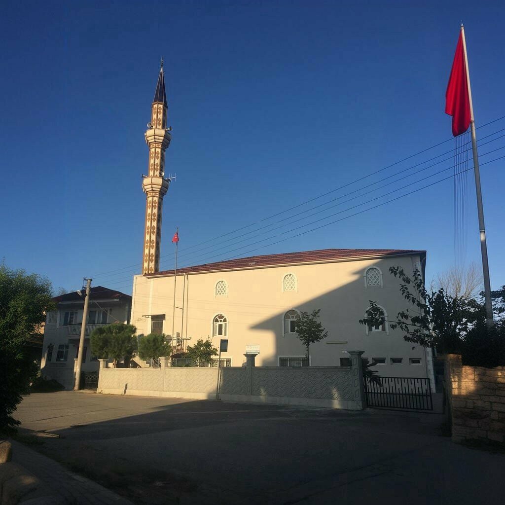 Cami Alikahya Kanalboyu Cami, İzmit, foto