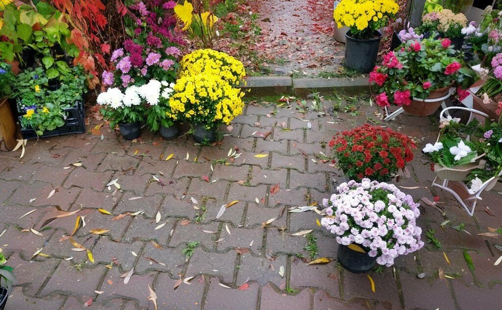 Kafe Bahçem Garden Cafe, Başiskele, foto