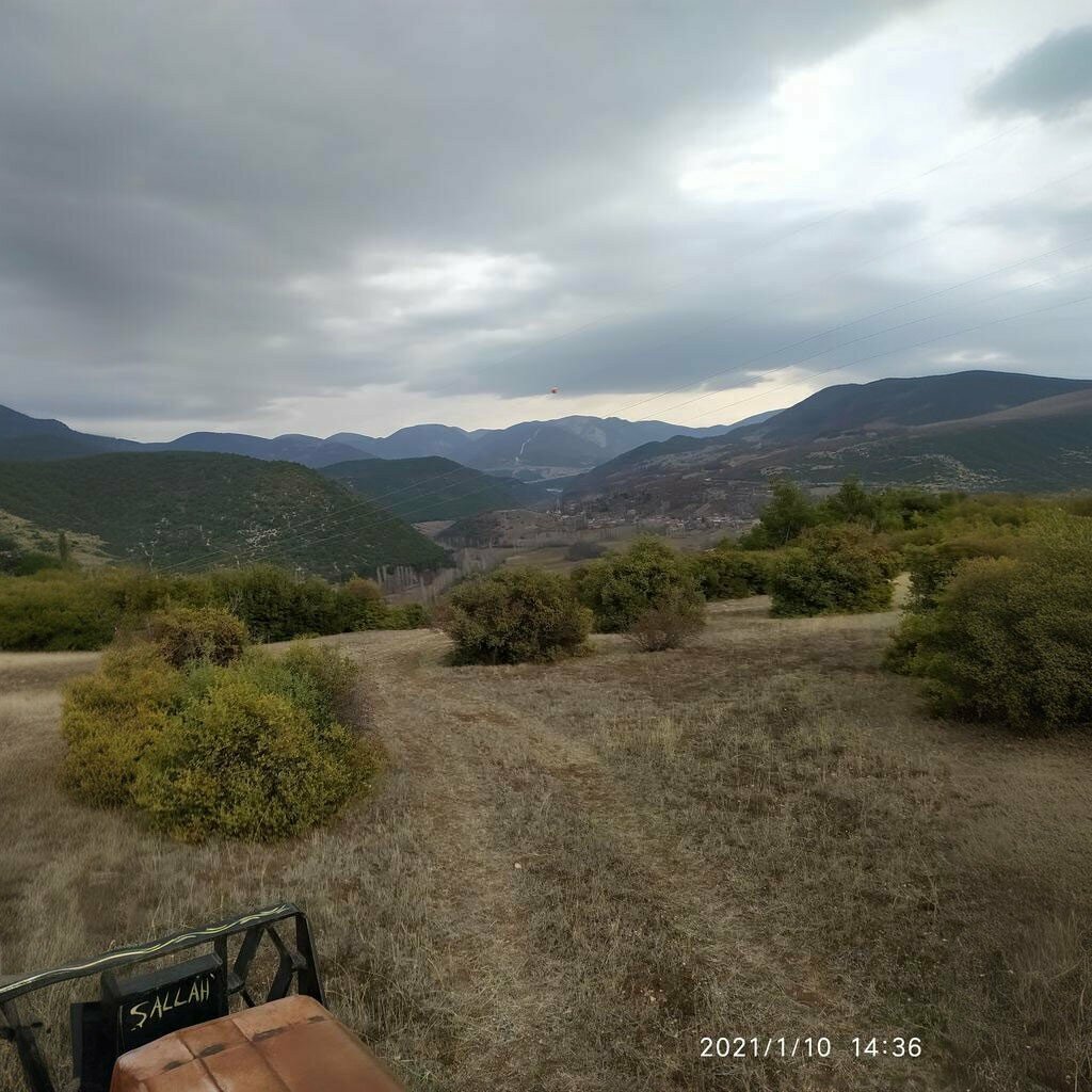 Muhtarlıklar Hacılı Köy Muhtarlığı, Niksar, foto