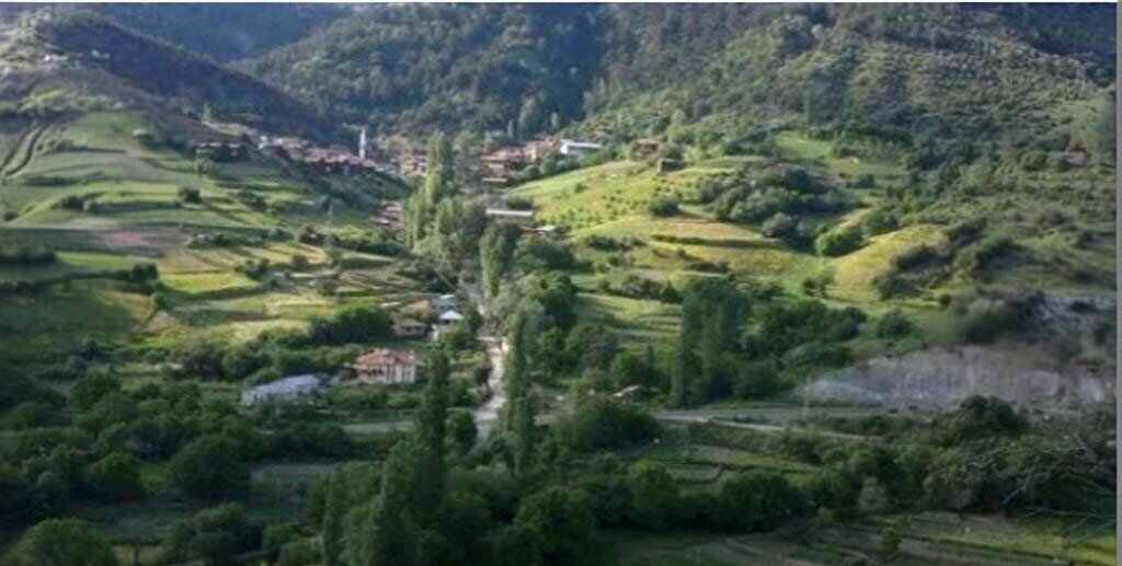 Muhtarlıklar Özboyu Köy Muhtarlığı, Tosya, foto