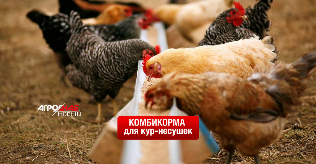 Yem ve yem katkı maddeleri Новый Агроснаб, Rostov, foto