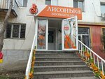 Lisonka (Baitursynov Street No:163), petshop  Almatı'dan