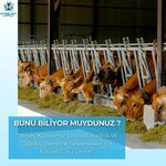 Ethem Bey Çiftliği (İstanbul, Silivri, Bekirli Mah., İncirli Cad., 10), hayvancılık  Silivri'den