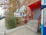 Каскад (Marshala Zhukova Avenue No:100, Volgograd), bina, site yönetimi  Volgograd'dan