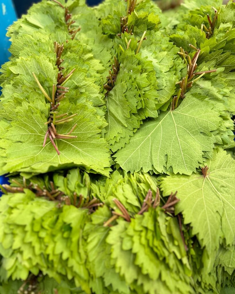 Gıda üreticileri Meşhur Niksar Yaprağı, İstanbul, foto