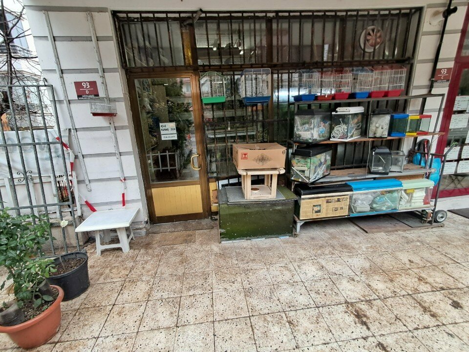 Petshop İrem Akvaryum, Ankara, foto