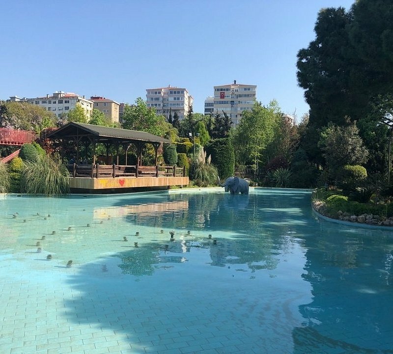 At ve binicilik kulüpleri Alkuzu Binicilik Okulu, İstanbul, foto