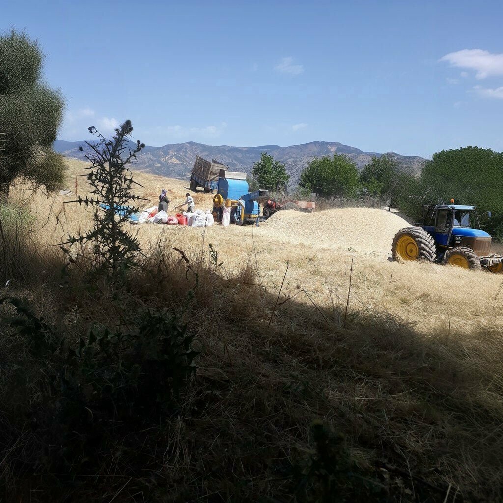 Cami Güngören Köyü Cami, Suşehri, foto