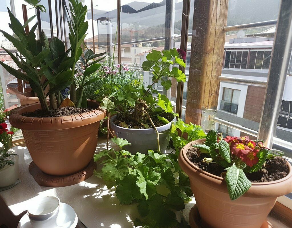 Yurtlar Özel Manisa Ege Yükseköğrenim Kız Öğrenim Yurdu, Manisa, foto