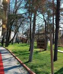 Veliefendi Hipodromu Piknik Alanı (İstanbul, Bakırköy, Aksu Cad., 12), piknik alanı  İstanbul'dan