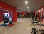 Form Sağlıklı Yasąm & Spor Merkezi (Muş, Muş Merkez , Kültür Mah., 164. Sok.), spor ve jimnastik salonları  Muş'tan