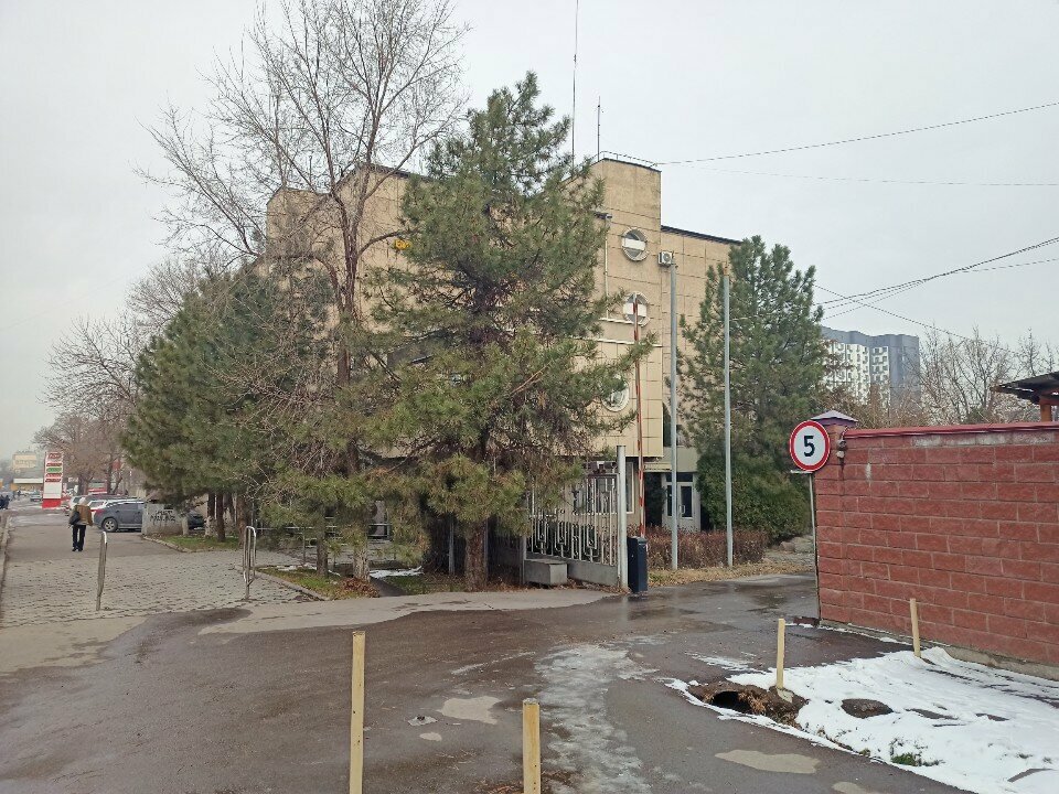 Özel okul American-European School, Bişkek, foto