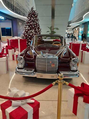 Benzin istasyonu Propane, Siriderya eyaleti, foto