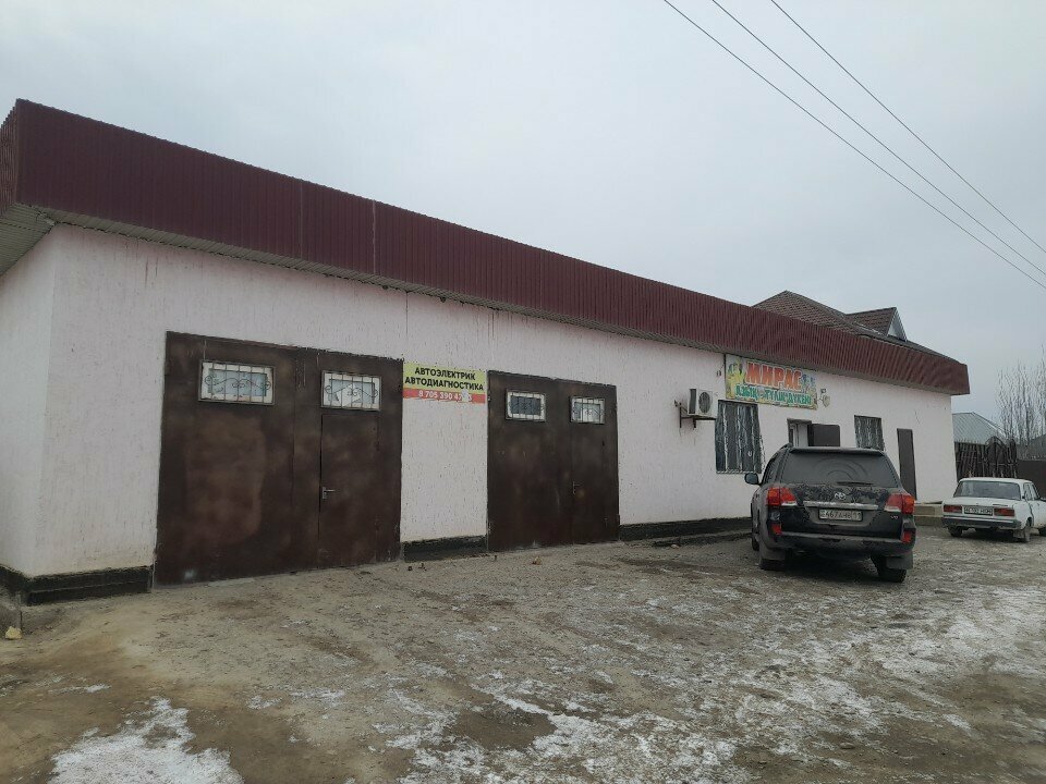 Otomobil servisi Auto Service, Kızılorda, foto