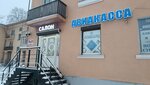 Авиакасса (Grazhdanskiy Avenue No:72), uçak biletleri  Saint‑Petersburg'dan