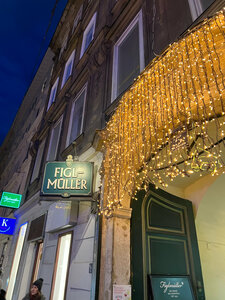 Figlmüller (Bäckerstraße No:6, Wien, Vienna), restoran  Viyana'dan