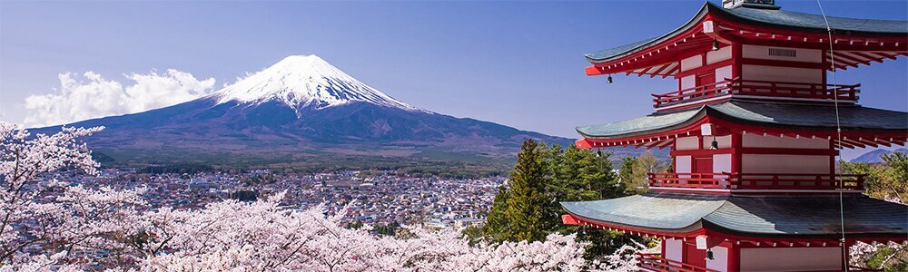 Üniversiteler Japan Digital University, Taşkent, foto