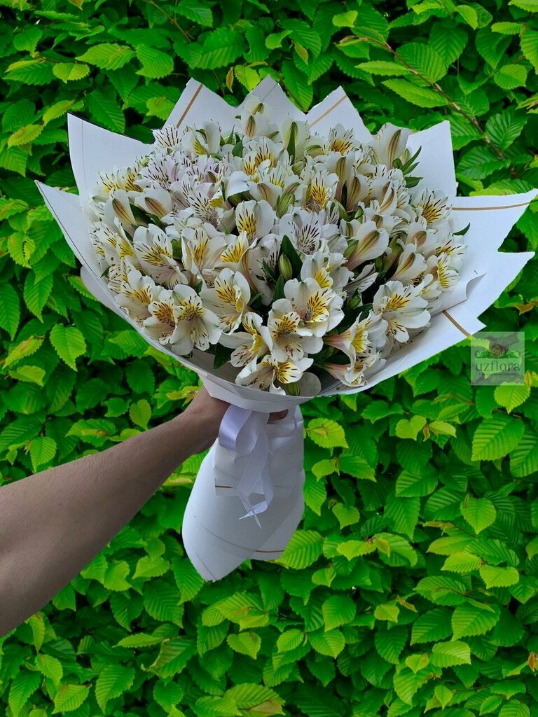 i̇ş merkezi Uzflora, Taşkent, foto