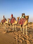 Benchmark Tourism (166, Omar Bin Al Khattab Street, Deira, Dubai), seyahat acenteleri  Dubai'den