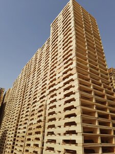 Green wooden industry (9, Sector 7 Street, Al Sajaa Industrial, Al Sajaah, Sharjah), paketleme malzemeleri firmaları  Sharjah'tan