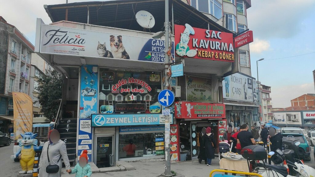 Petshop Cadde Akvaryum, İstanbul, foto