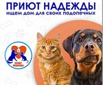 Общество защиты животных Приют надежды (Tovarnaya ulitsa No:14Б), hayvan barınakları, kulüpleri ve otelleri  Vologda'dan