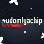 Udomlyachip (Tver Region, Udomlya), tuning  Udomlya'dan