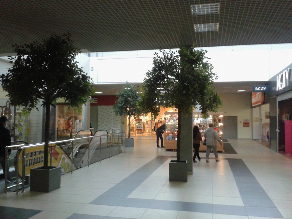 Yapay bitki ve çiçek Di-Fiori LLC, Podolsk, foto